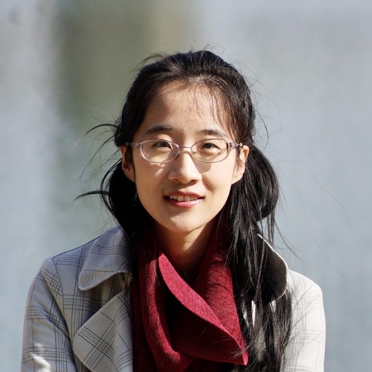 Fellows - Development Engineering